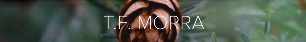 T.F. Morra Tree Care, Inc. Payment / Pay TF Morra / T F Morra Tree Care ...